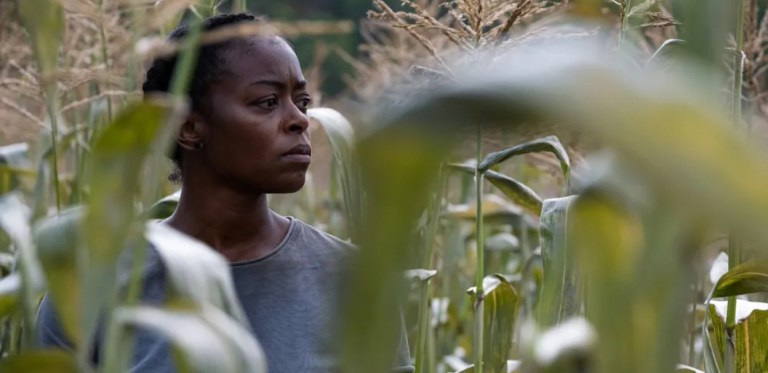 Top 10 Canadian Films to Watch This Canada Day